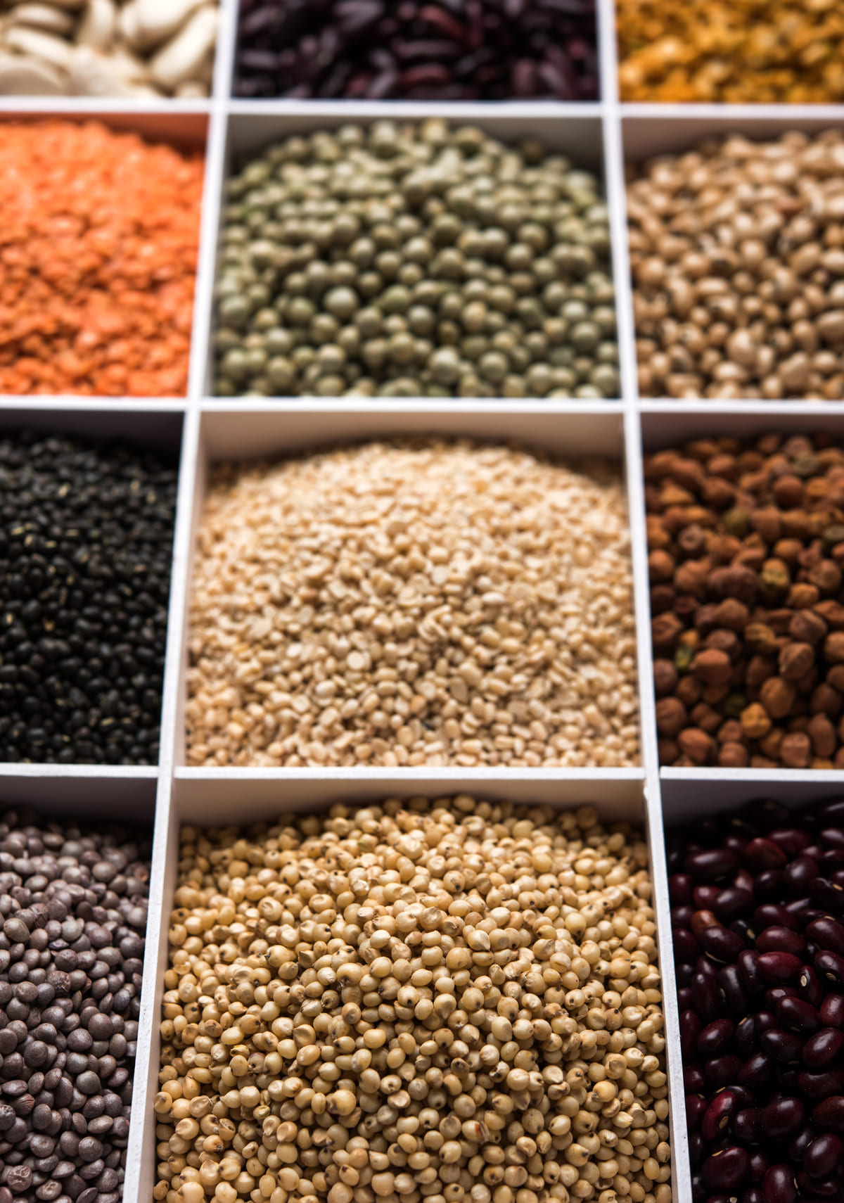 Grains / Seeds - Shiva Shakti Foods
